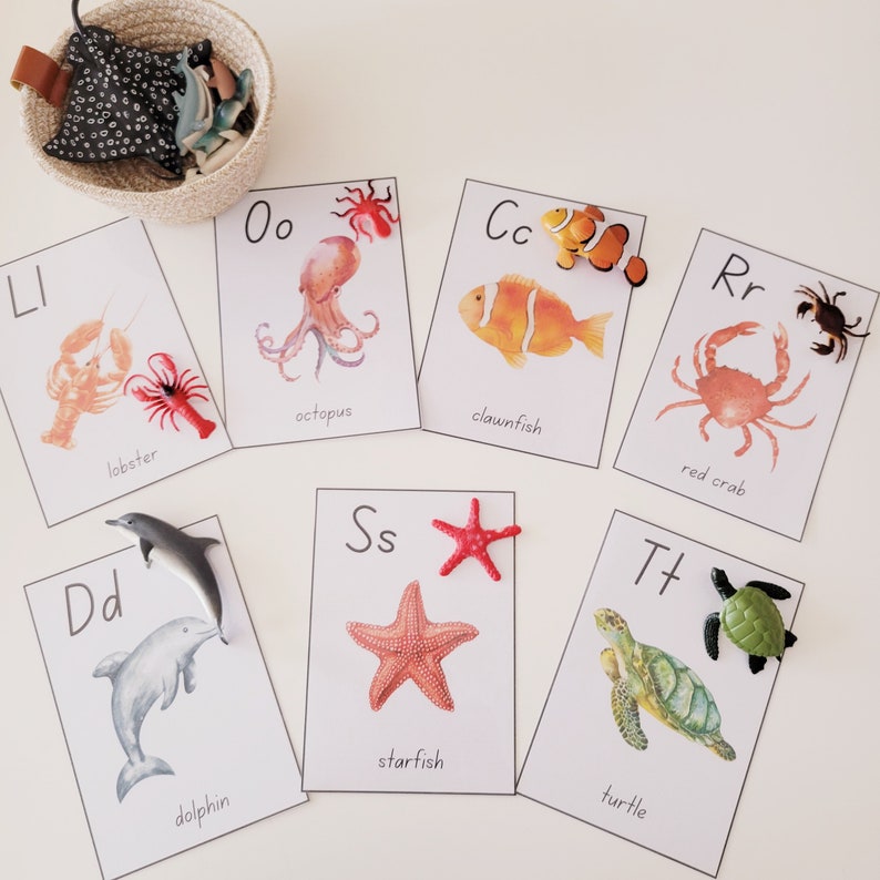 Ocean Animals Alphabet Cards - Montessori Language Cards - Etsy