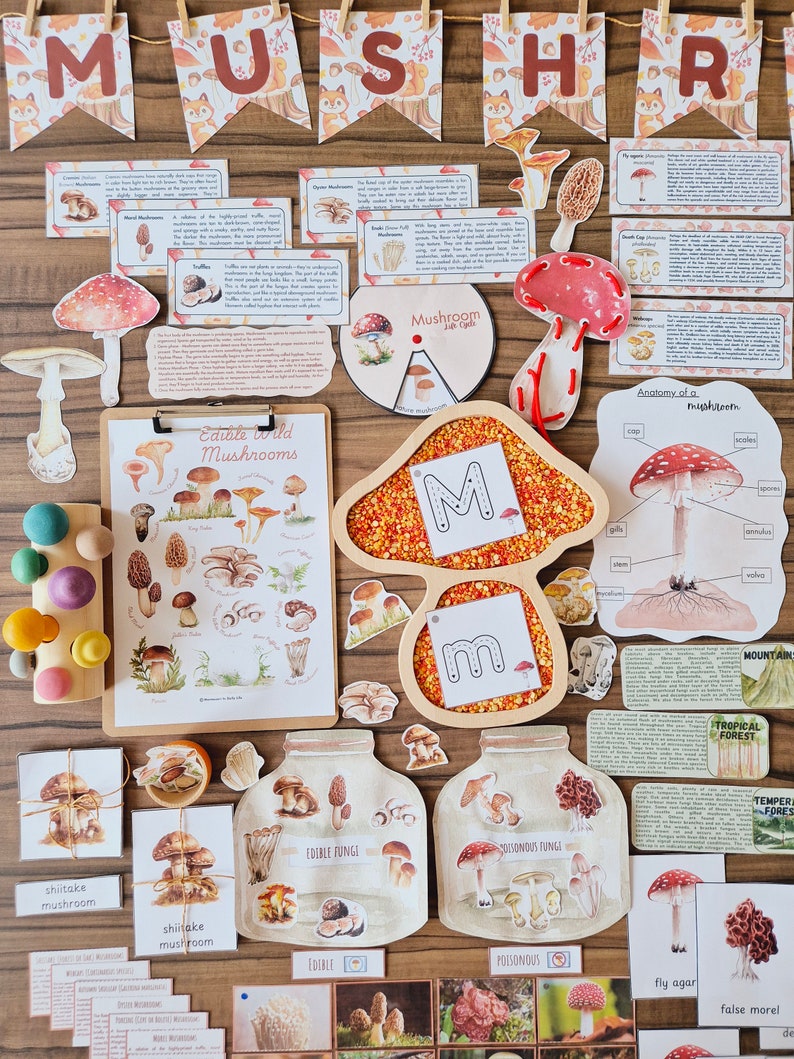 Fungi Unit Study Montessori Aligned Learning Pack - Etsy