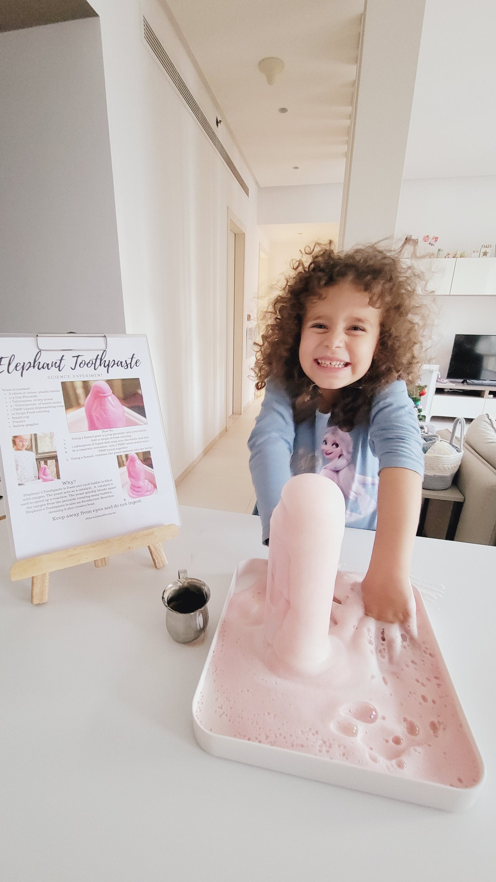 My First STEAM Activity Book + FREE State of Matter Mini Pack - Etsy