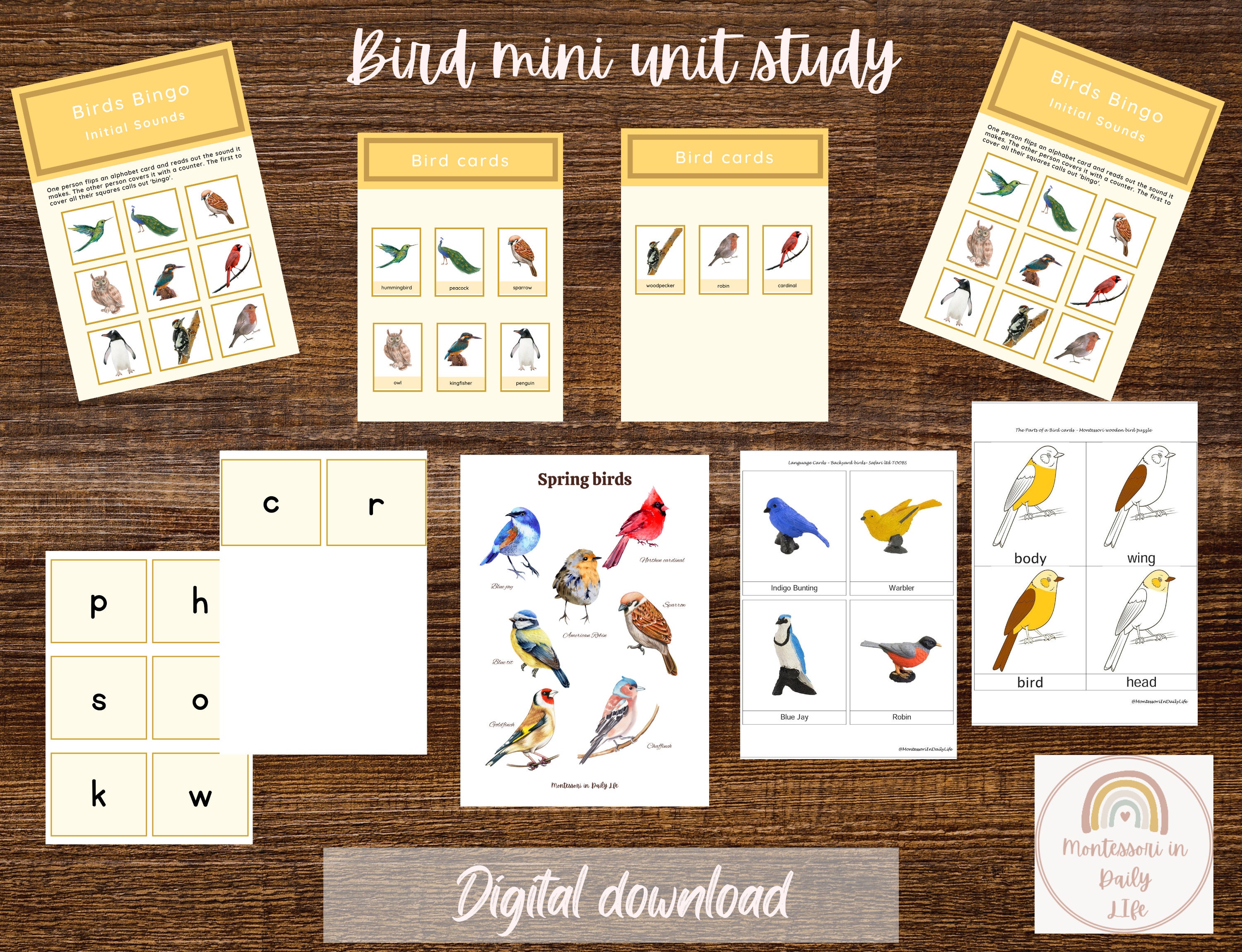 Bird Unit Study Printables With FREE Exotic Birds Language - Etsy