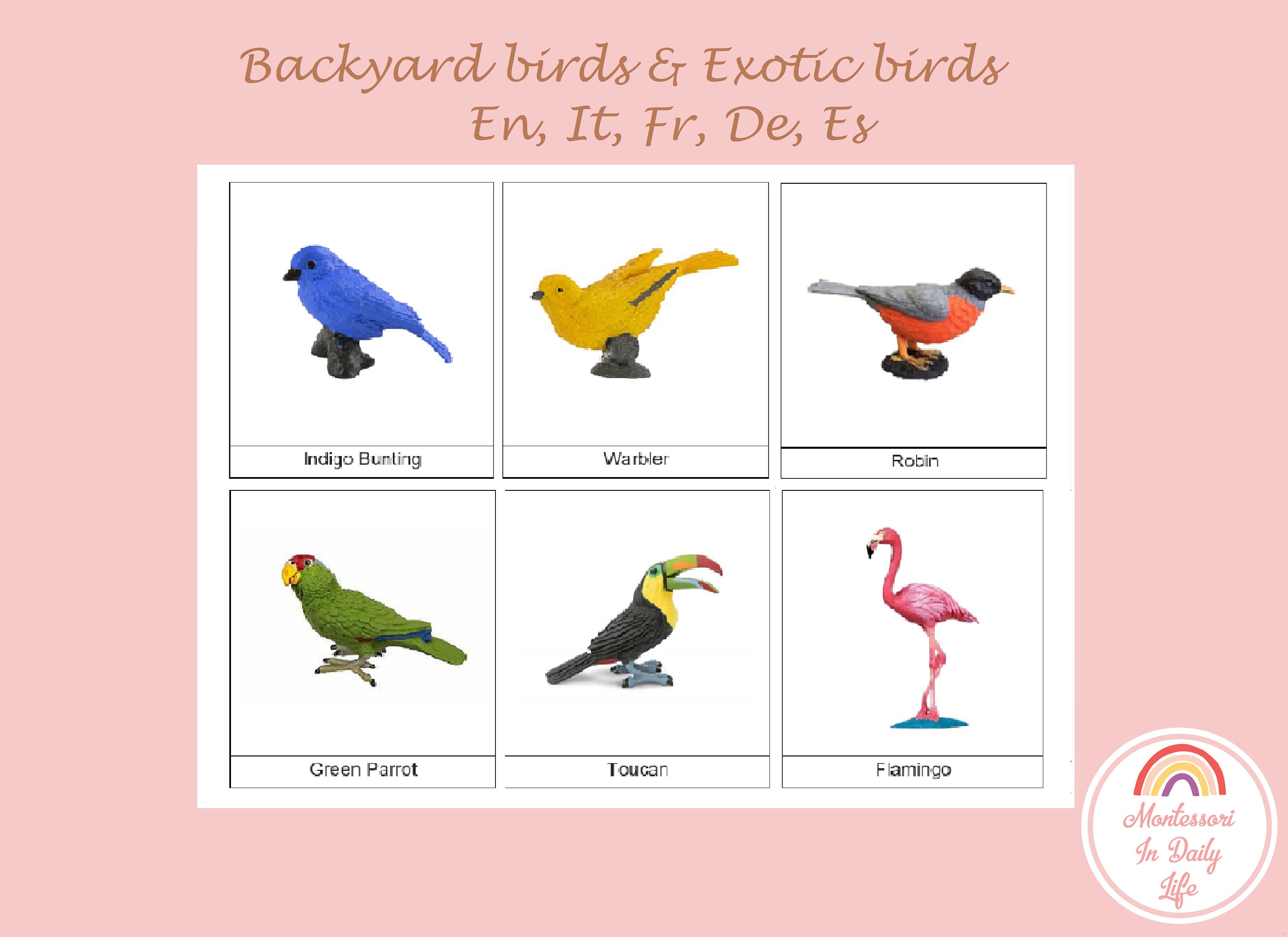 Montessori 3-part Cards - Backyard Birds + FREE Exotic Birds in 5 ...