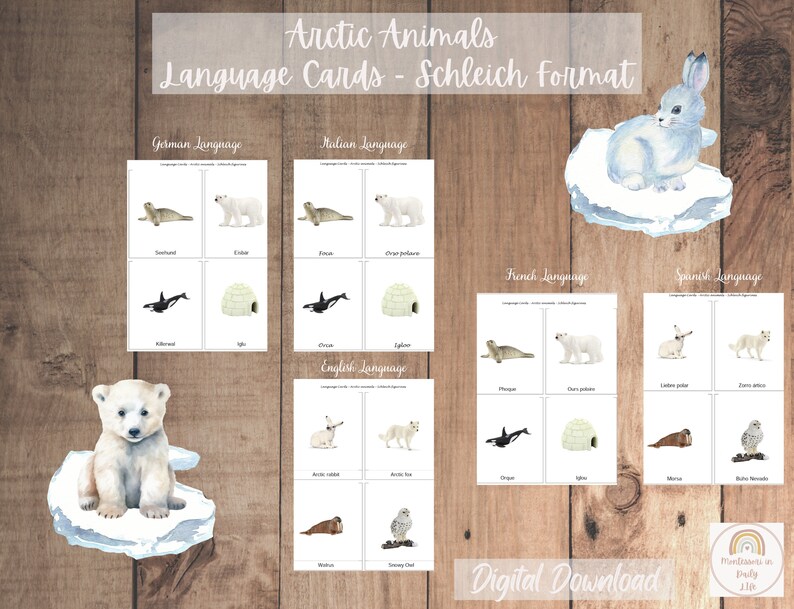 Arctic Animals Montessori Language Cards - Italiano, English, Español ...