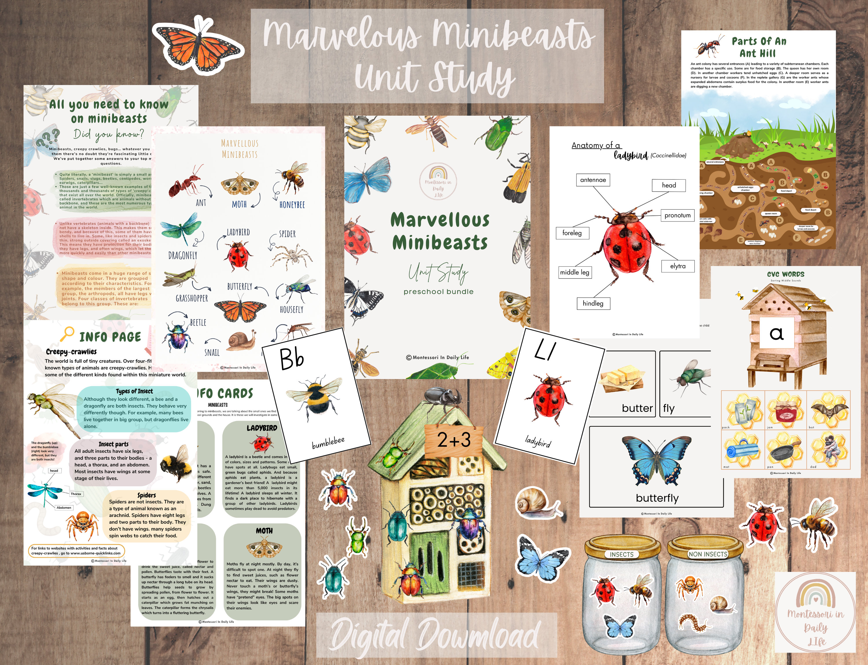 Marvelous Minibeasts - Montessori Inspired Unit Study + FREE Alphabet ...