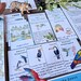 Tropical Rainforest Unit Study - Etsy