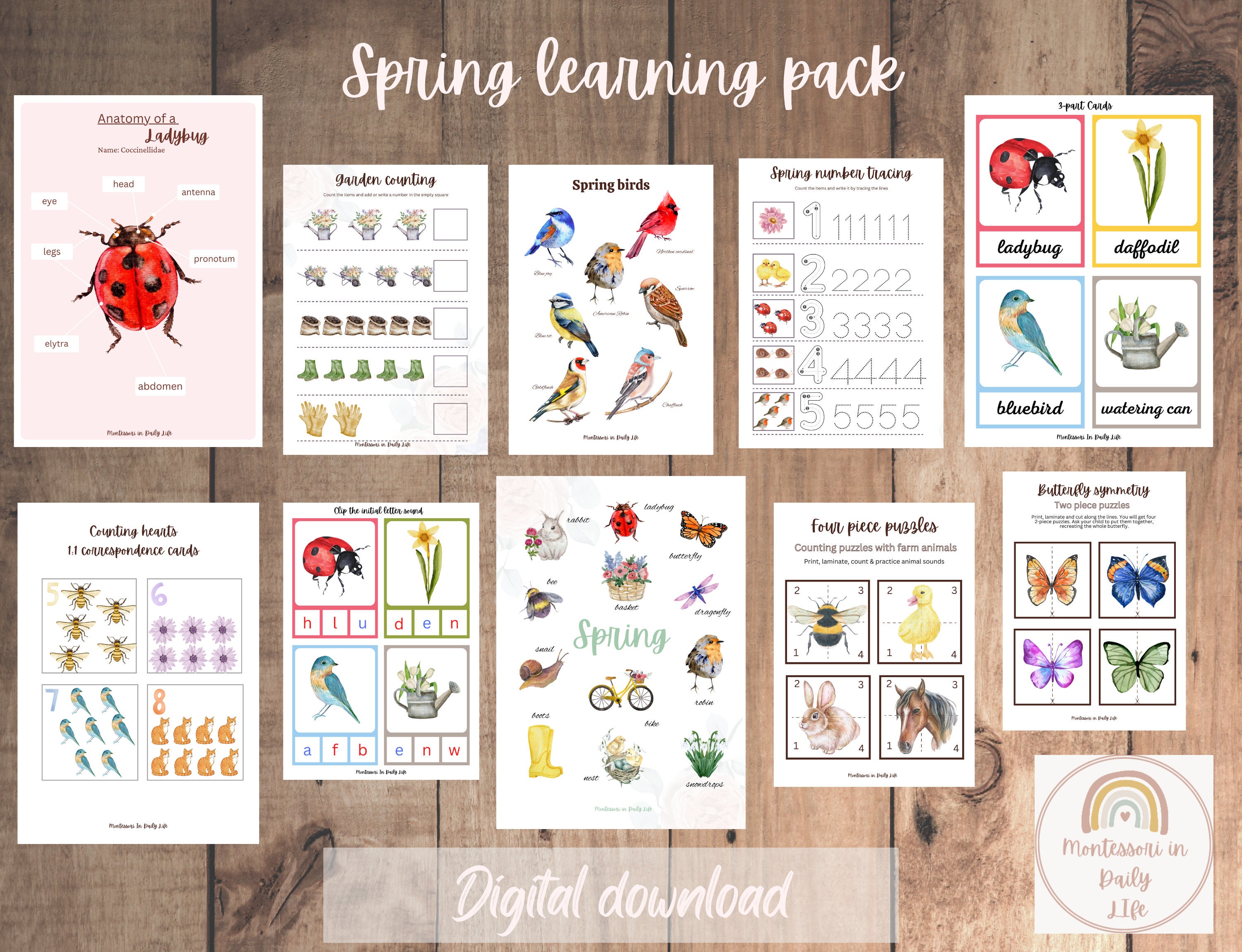Spring Learning Pack Montessori and Spring Inspired Activities - Etsy