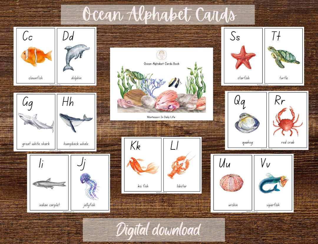 Ocean Animals Alphabet Cards Montessori Language Cards - Etsy