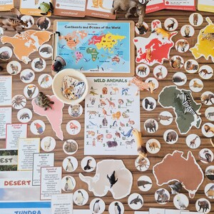 Animals of the World Encyclopedia 250 Montessori Inspired Unit for 5 ...