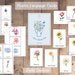 Montessori 3-part Cards - Flowers - Eng, Es, Fr, It, De - Safari Ltd ...
