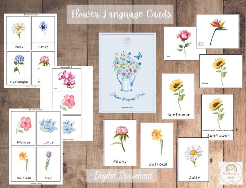 Montessori 3-part Cards - Flowers - Eng, Es, Fr, It, De - Safari Ltd ...