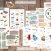 Marvelous Minibeasts Montessori Inspired Unit Study FREE Alphabet Cards ...
