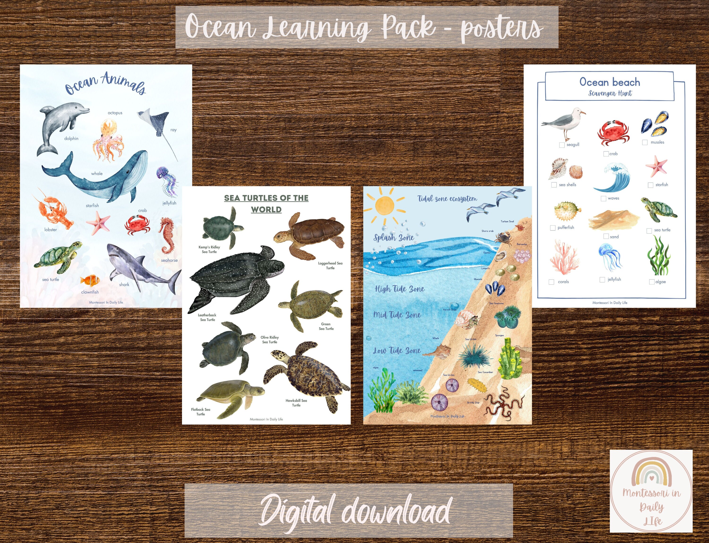 O is for Ocean Learning Pack With FREEBIE Ocean Alphabet - Etsy