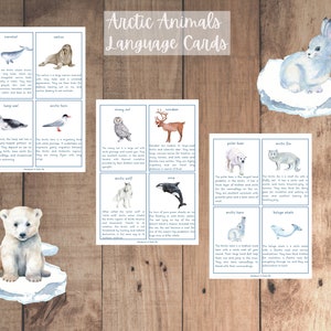 Arctic Animals Montessori Language Cards - Italiano, English, Español ...