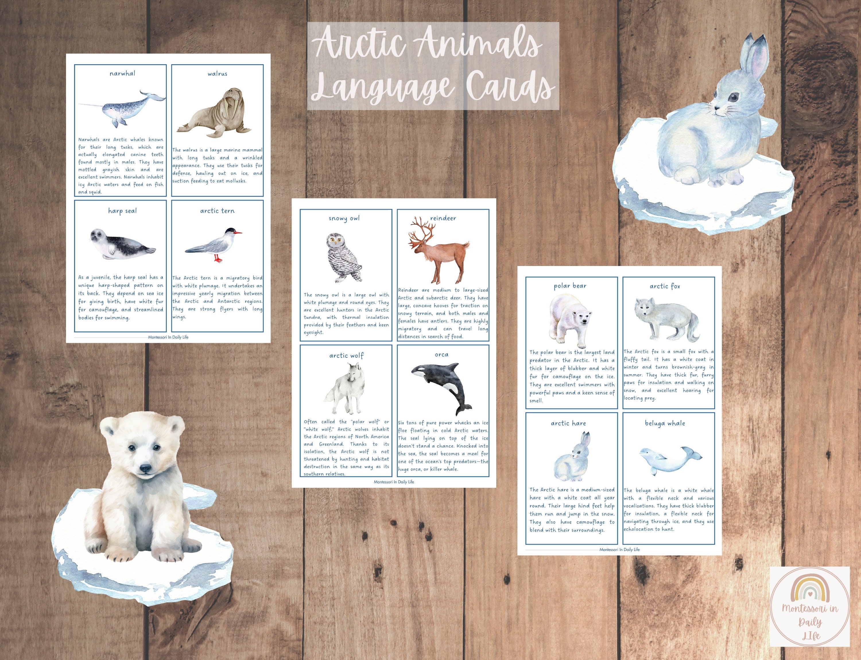 Arctic Animals Montessori Language Cards - Italiano, English, Español ...