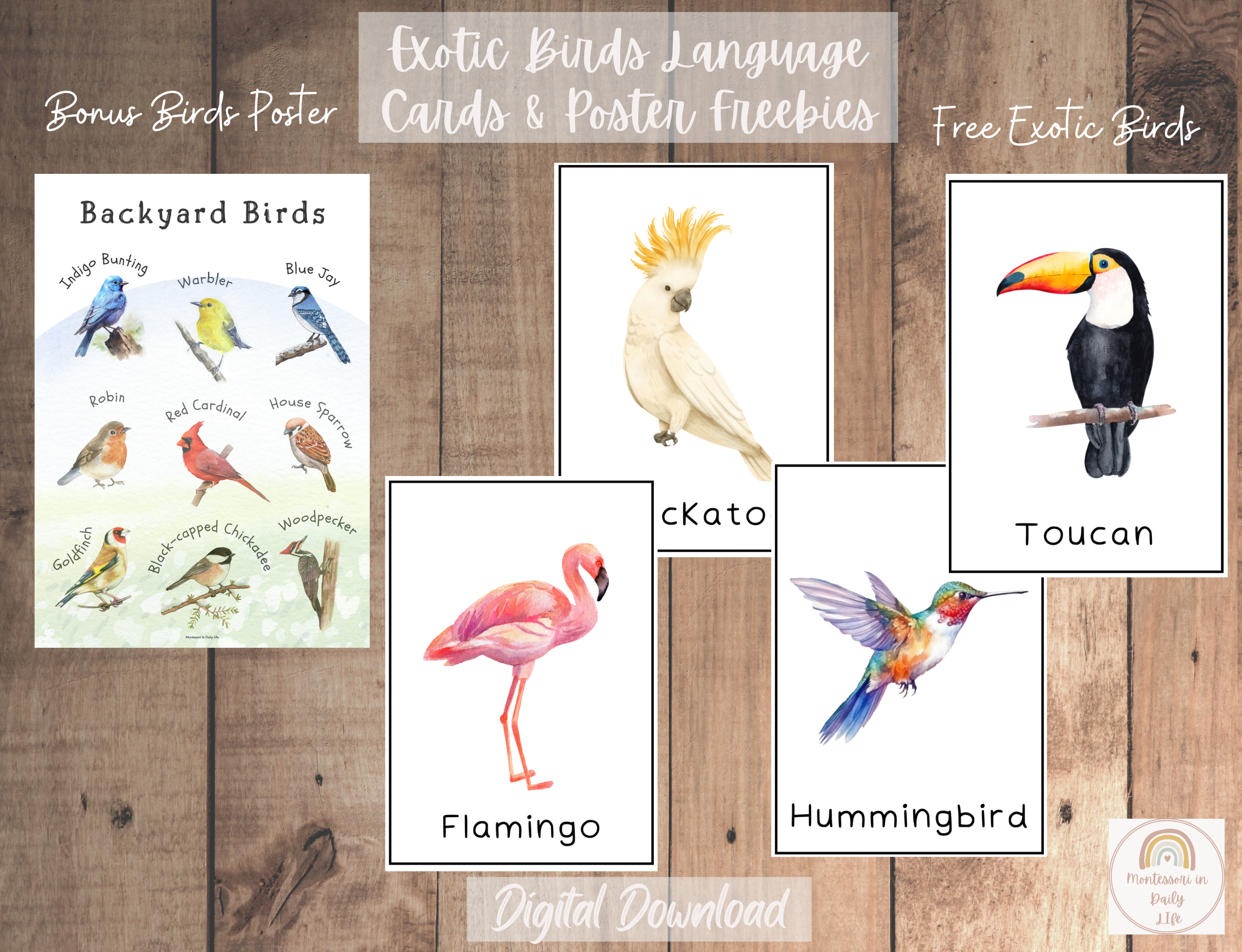 Montessori 3-part Cards - Backyard Birds + FREE Exotic Birds in 5 ...