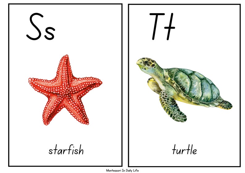 Ocean Animals Alphabet Cards - Montessori Language Cards - Etsy