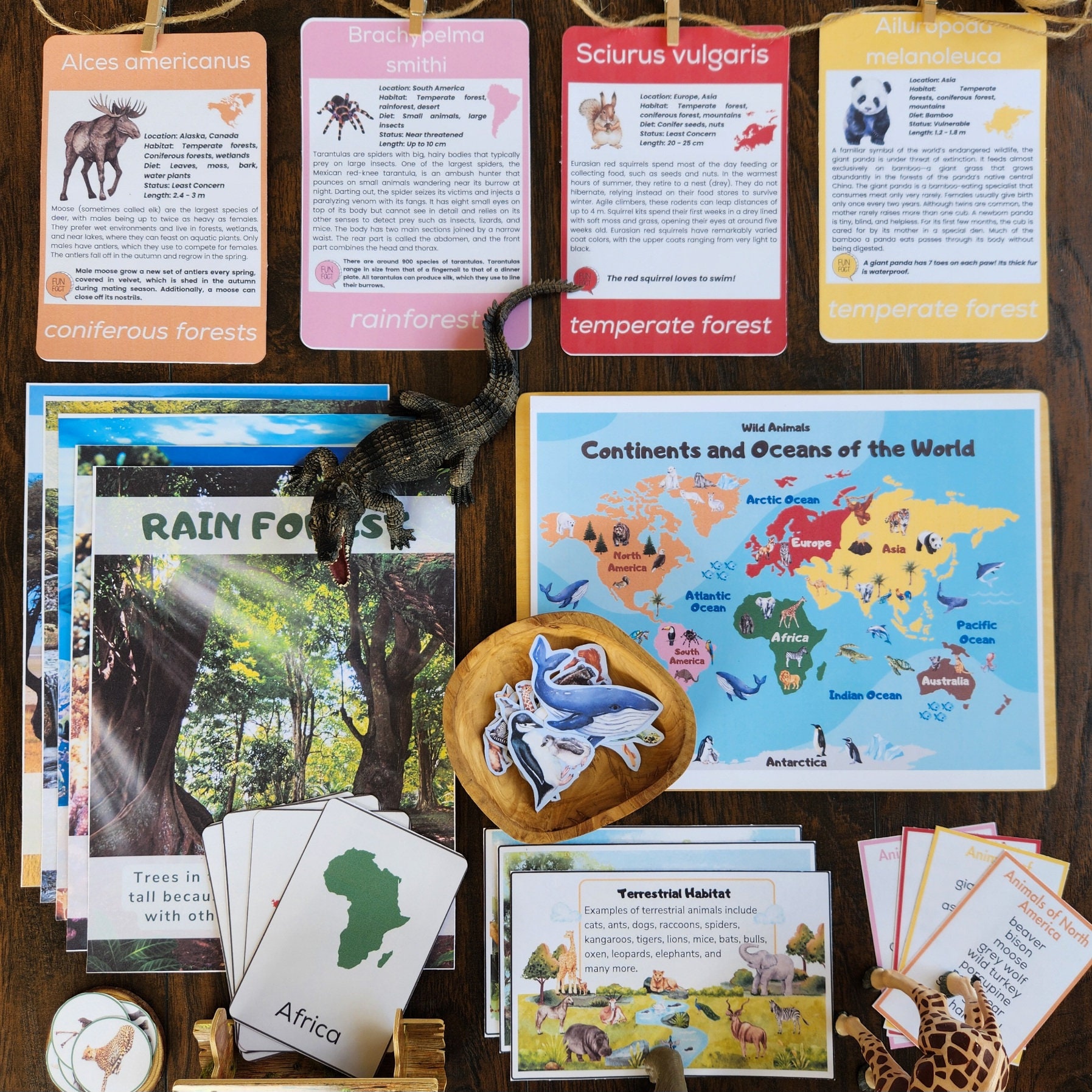 Animals of the World Encyclopedia 250 Montessori Inspired Unit for 5 ...