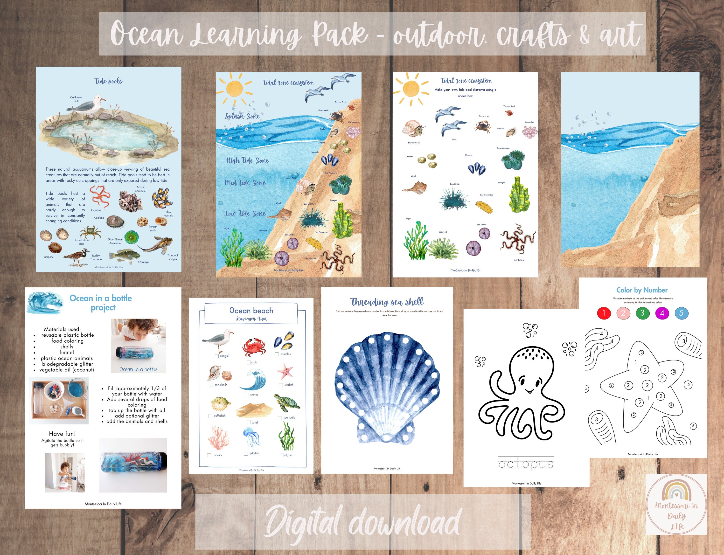 O is for Ocean Learning Pack With FREEBIE Ocean Alphabet Cards - Etsy