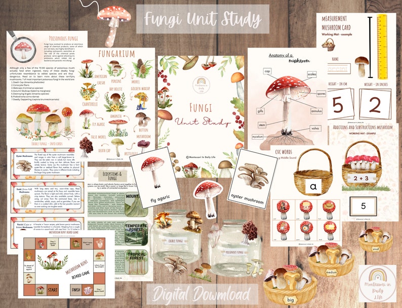 Fungi Unit Study Montessori Aligned Learning Pack - Etsy