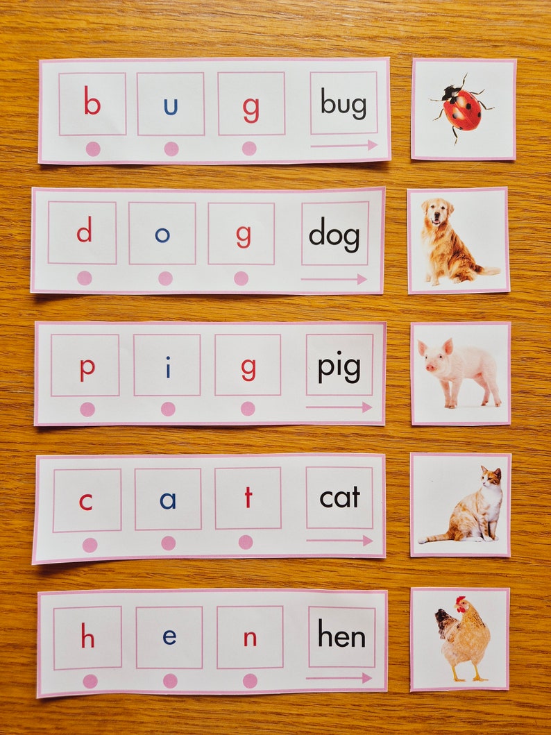 Montessori CVC Words and Phonics Activity Pack 3 - 6 Years Old - Etsy