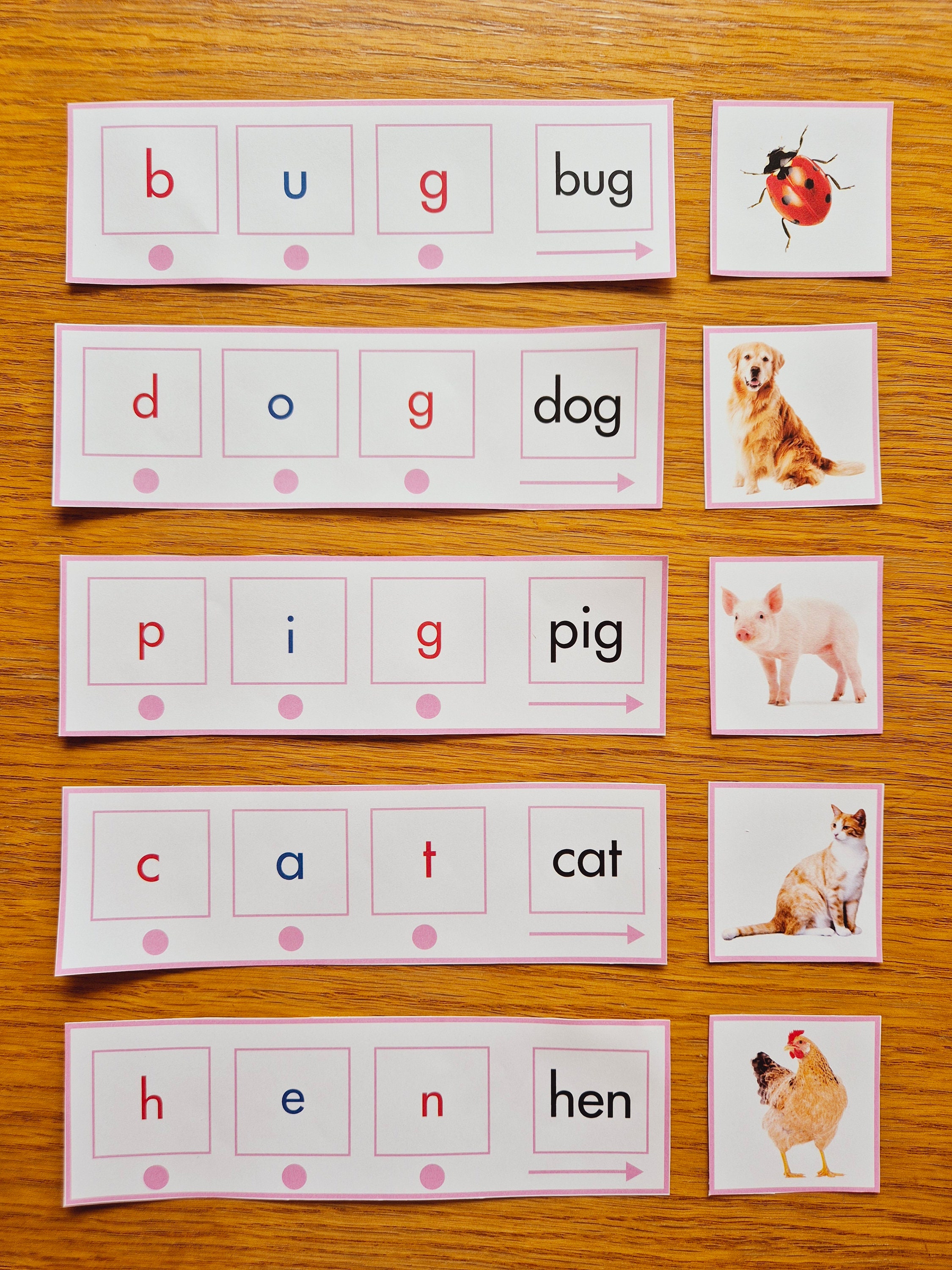 Montessori CVC Words and Phonics Activity Pack 3 - 6 Years Old - Etsy