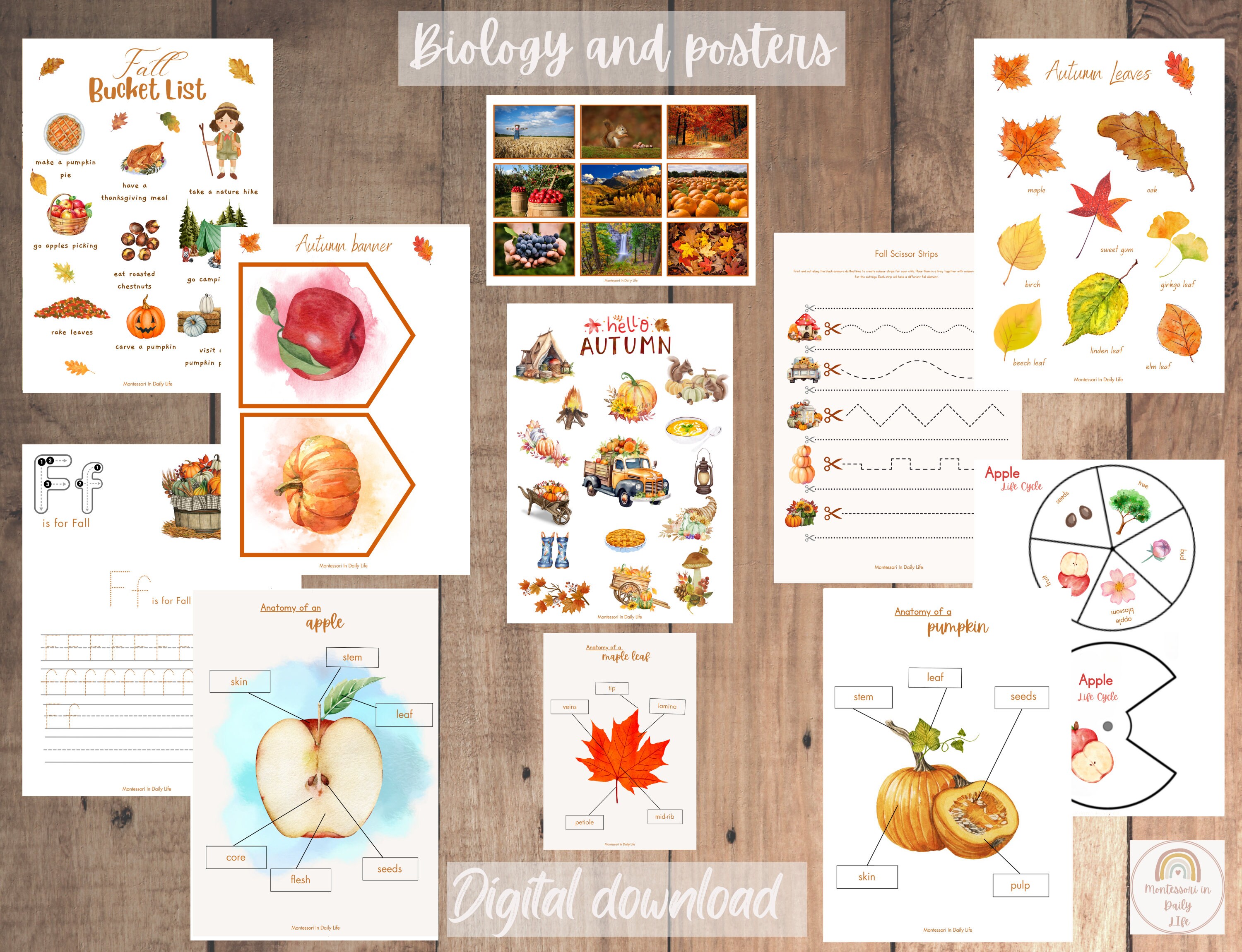 Fall Unit Study + FREE Resources - Montessori Inspired Pre-school ...