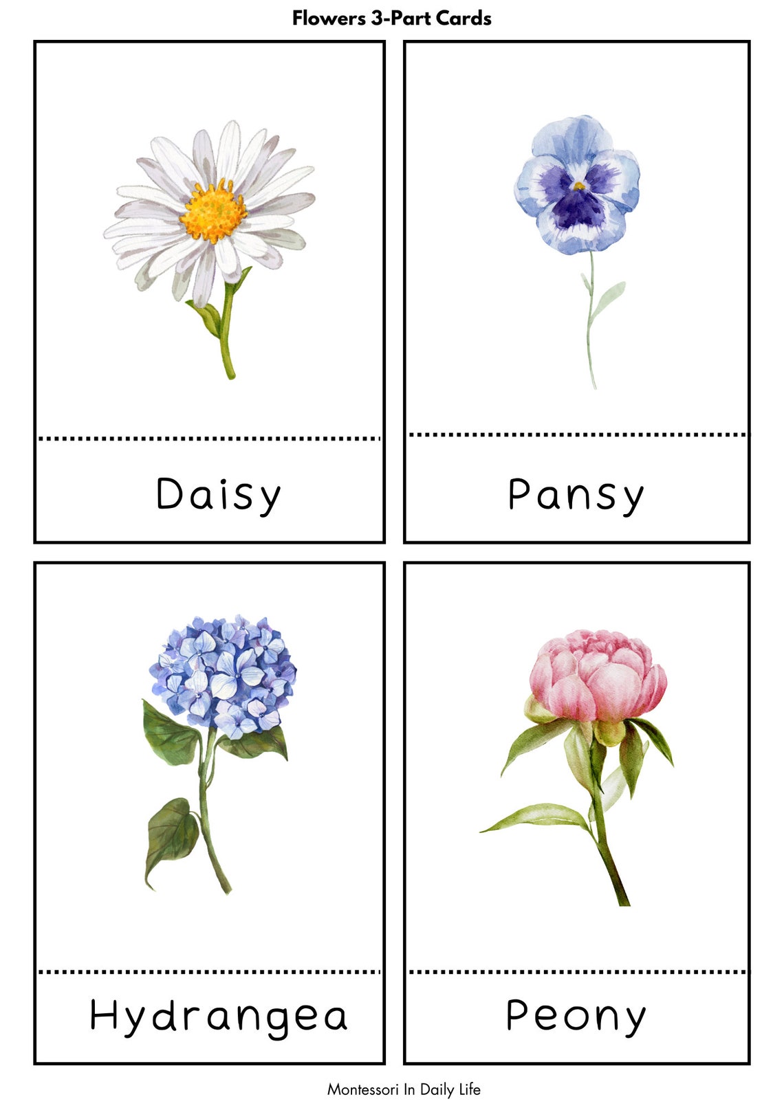 Montessori 3-part Cards - Flowers - Eng, Es, Fr, It, De - Safari Ltd ...