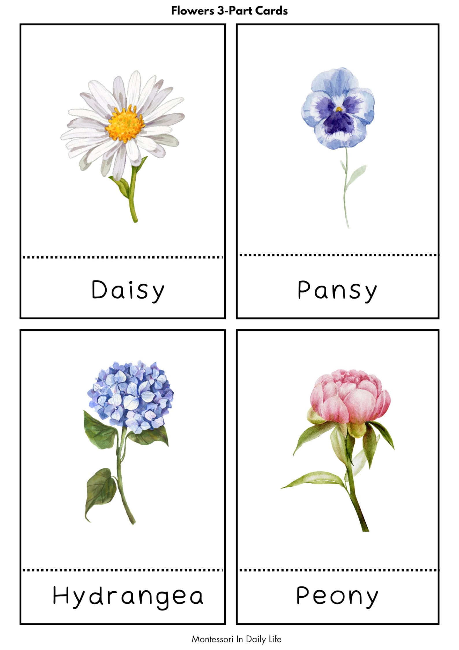 Montessori 3-part Cards - Flowers - Eng, Es, Fr, It, De - Safari Ltd ...