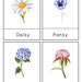 Montessori 3-part Cards - Flowers - Eng, Es, Fr, It, De - Safari Ltd ...