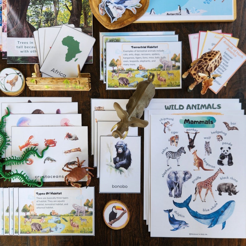 Animals of the World Encyclopedia 250 Montessori Inspired Unit for 5 9 ...