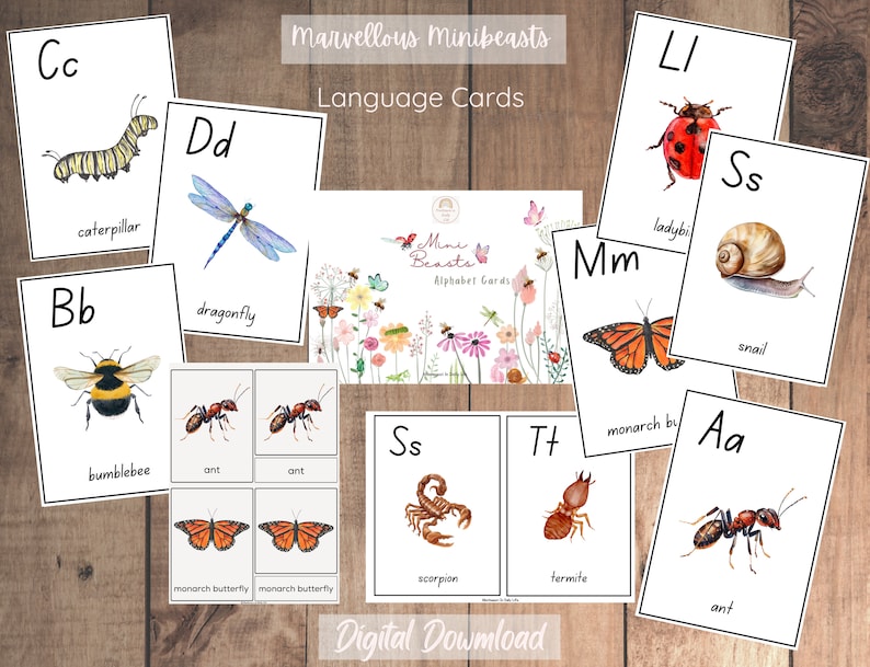 Marvelous Minibeasts - Montessori Inspired Unit Study + FREE Alphabet ...