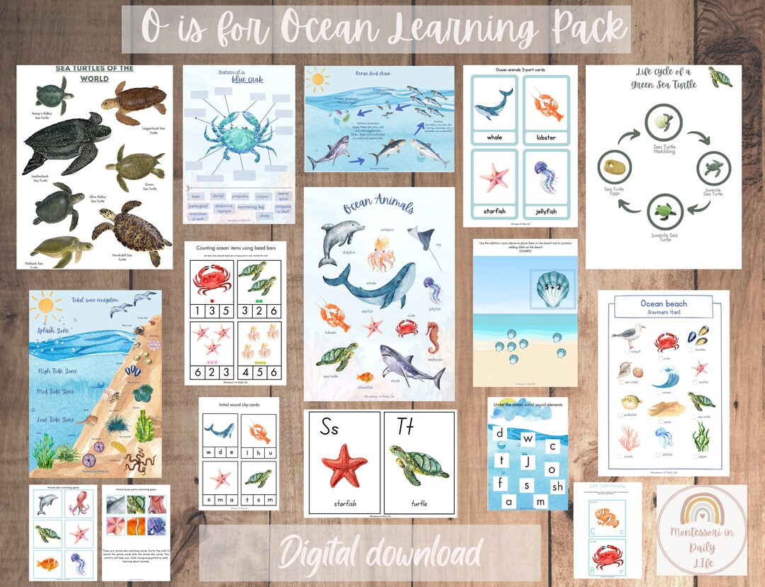 O is for Ocean Learning Pack - With FREEBIE Ocean Alphabet Cards - Etsy