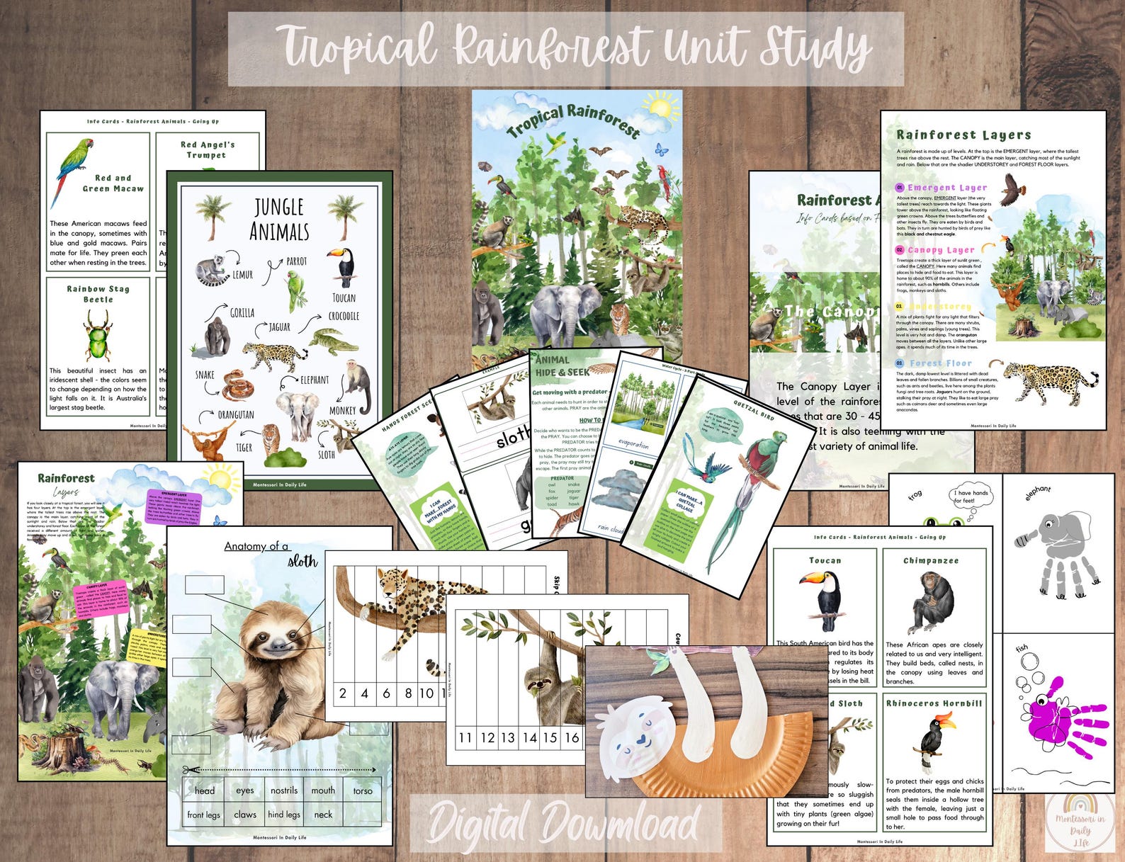 Tropical Rainforest Unit Study - Etsy