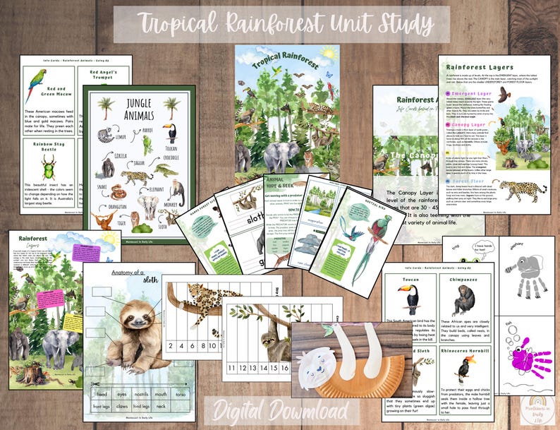 Tropical Rainforest Unit Study - Etsy