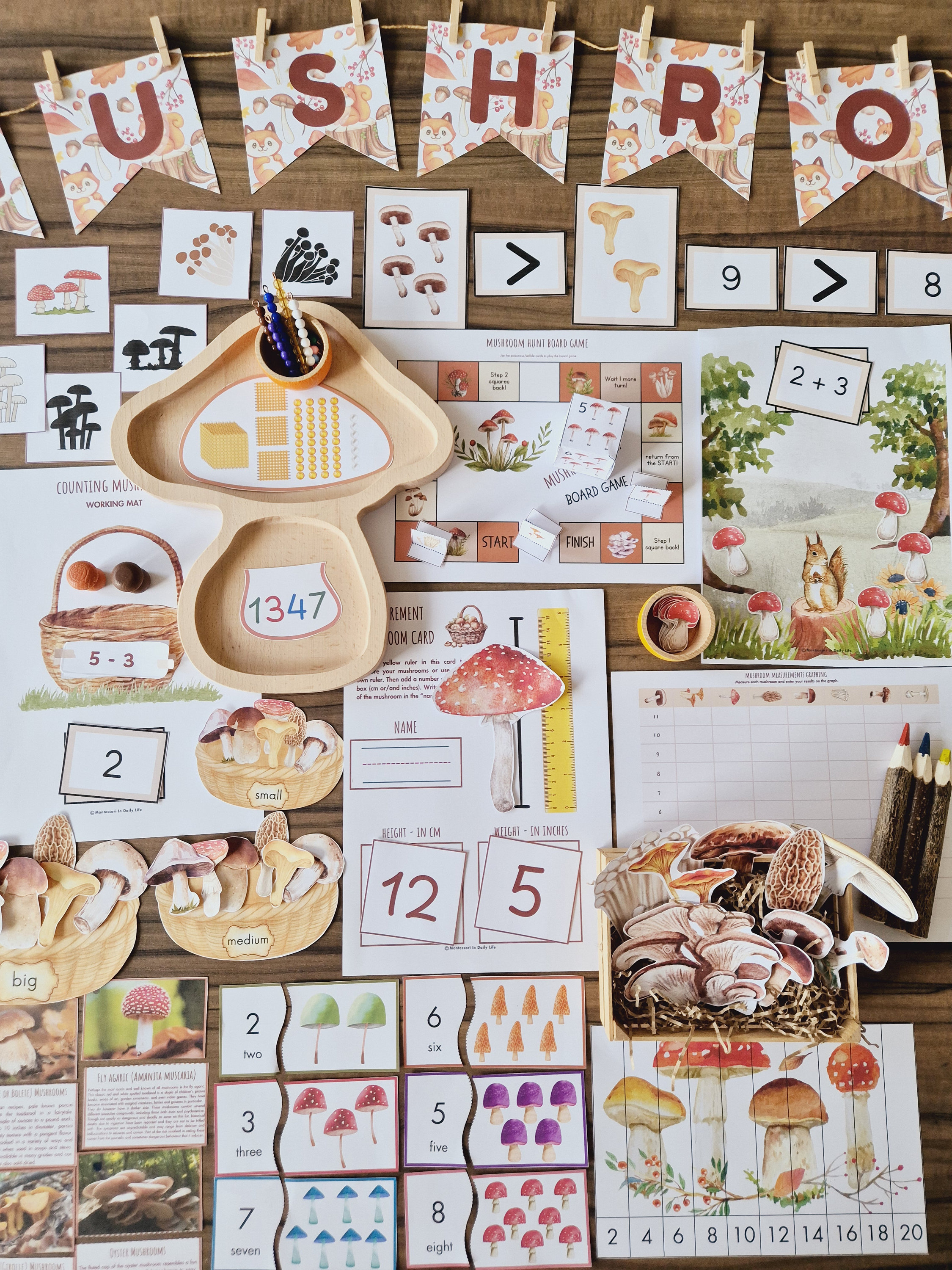 Fungi Unit Study Montessori Aligned Learning Pack - Etsy