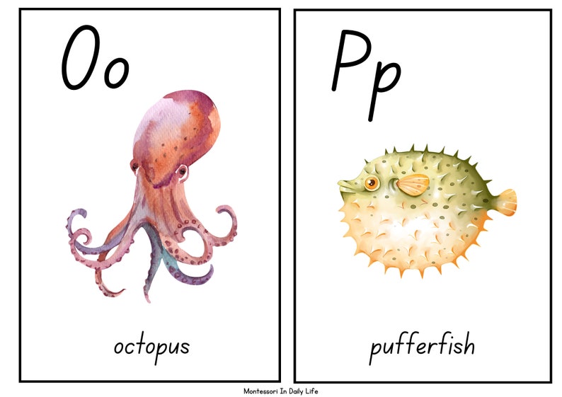 Ocean Animals Alphabet Cards - Montessori Language Cards - Etsy