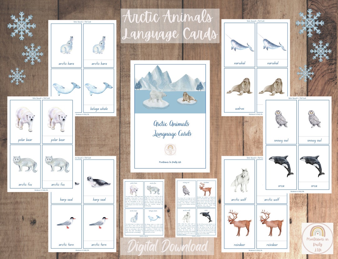 Arctic Animals Montessori Language Cards - Italiano, English, Español ...