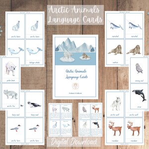 Arctic Animals Montessori Language Cards - Italiano, English, Español ...