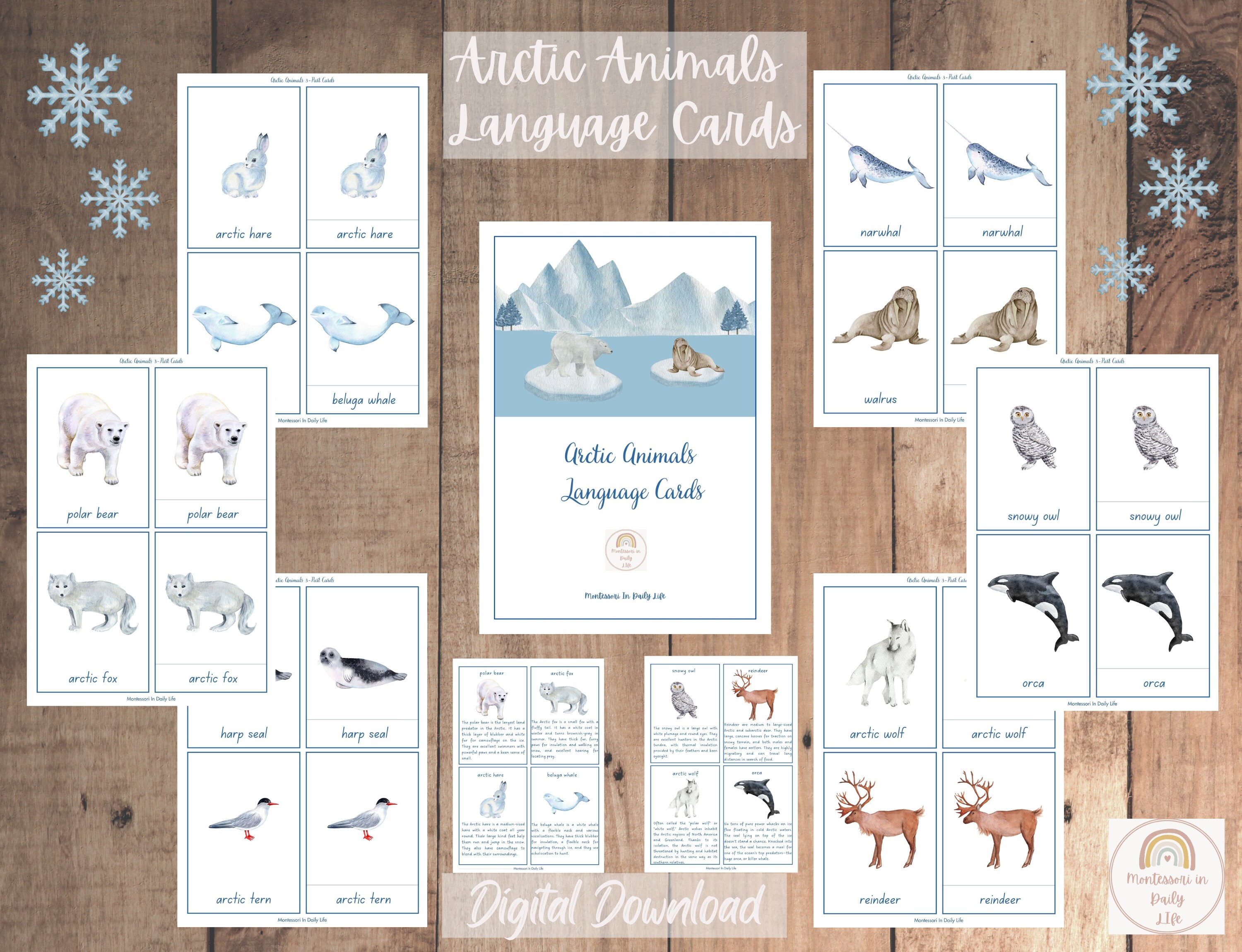 Arctic Animals Montessori Language Cards - Italiano, English, Español ...