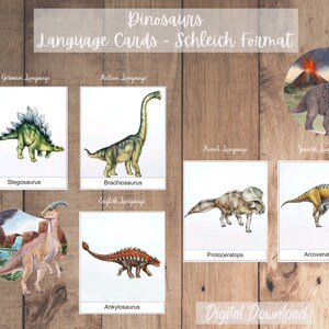Dinosaurs Language Cards Eng, Es, It, Fr, De Montessori 3 Part Cards - Etsy
