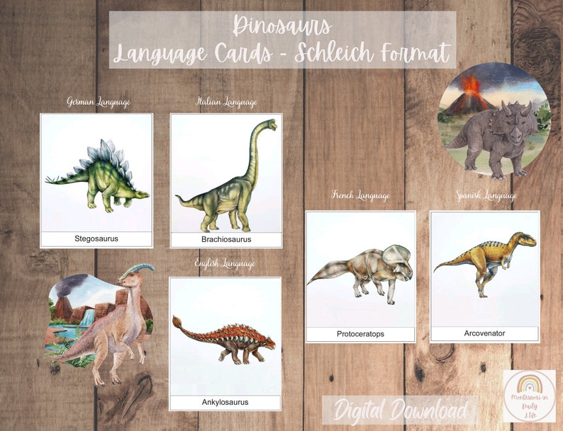 Dinosaurs Language Cards Eng, Es, It, Fr, De Montessori 3 Part Cards - Etsy