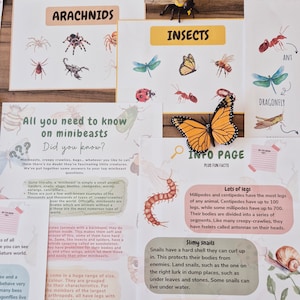 Marvelous Minibeasts - Montessori Inspired Unit Study + FREE Alphabet ...