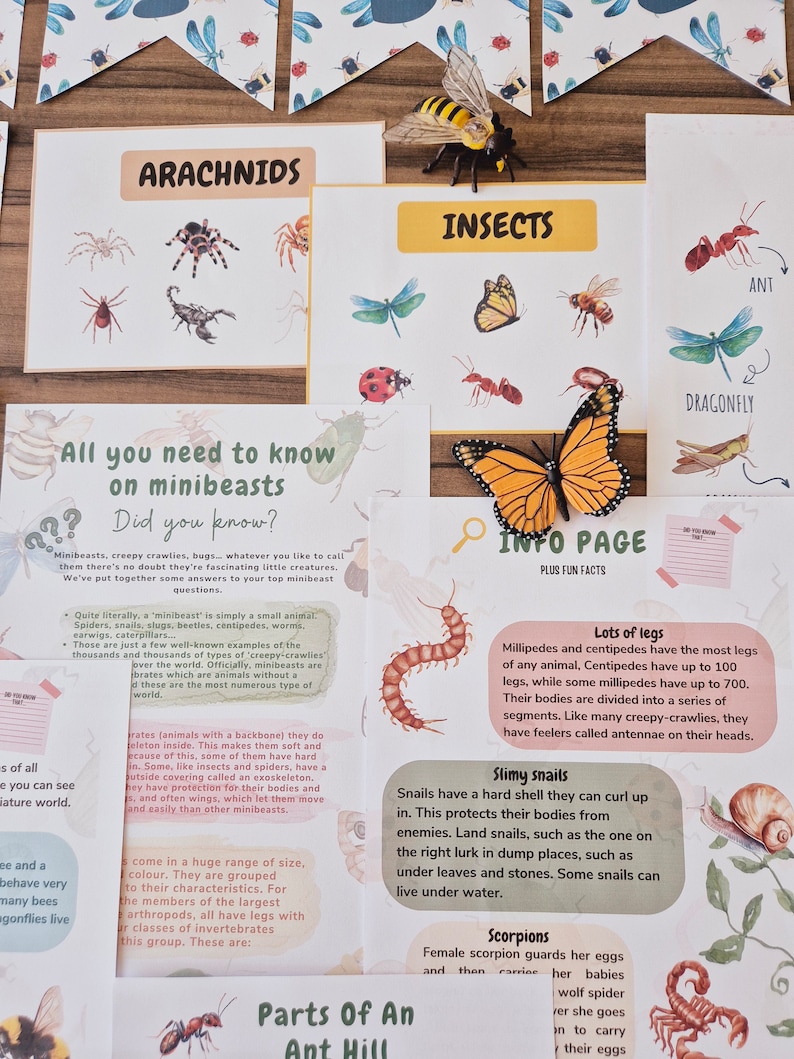 Marvelous Minibeasts - Montessori Inspired Unit Study + FREE Alphabet ...