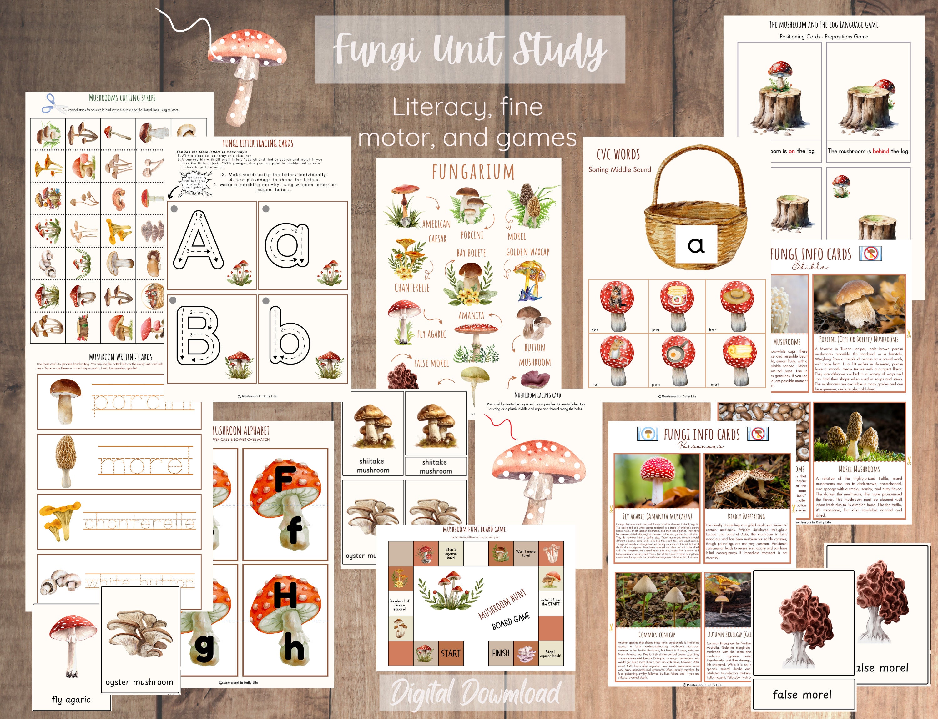 Fungi Unit Study Montessori Aligned Learning Pack - Etsy
