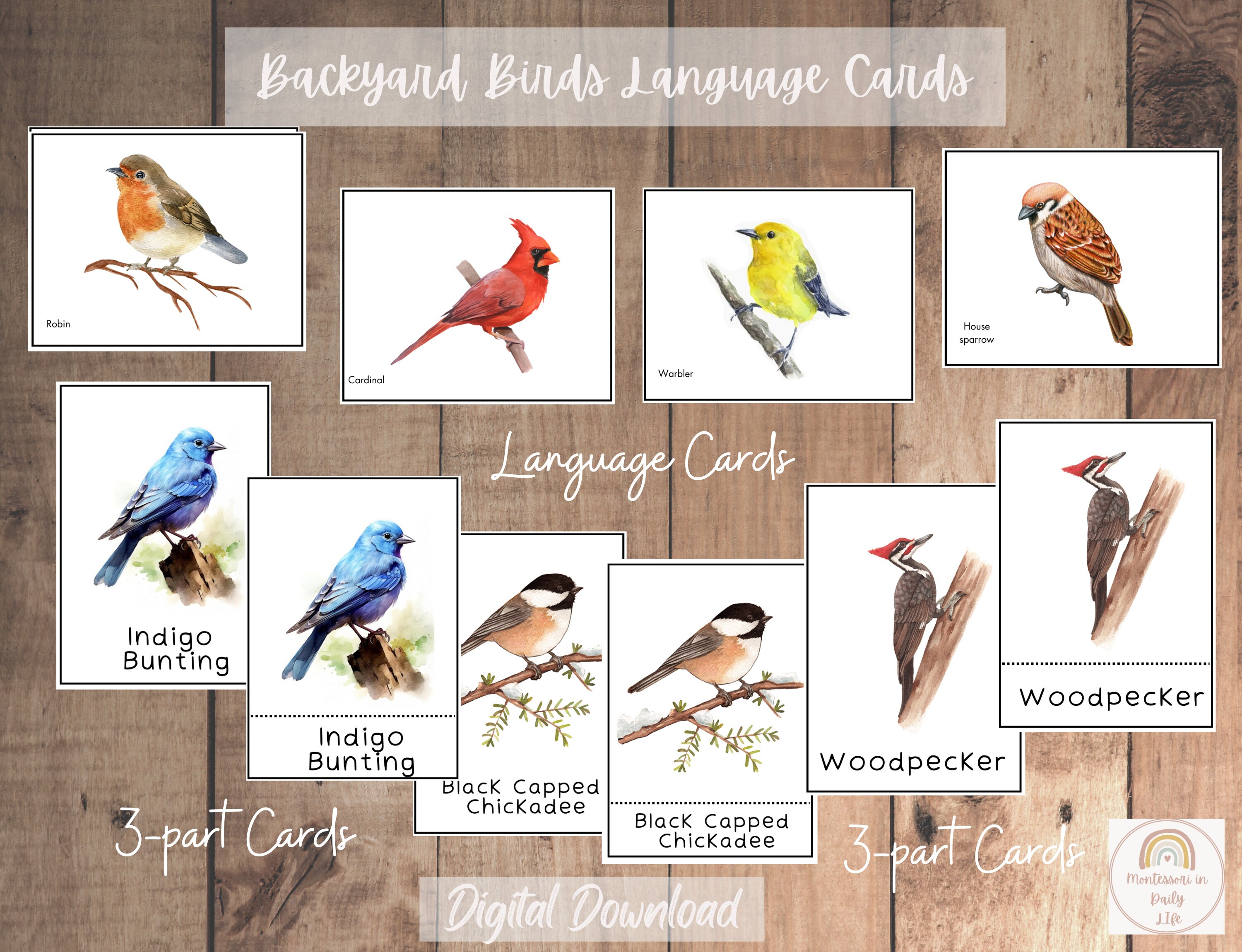 Montessori 3-part Cards - Backyard Birds + FREE Exotic Birds in 5 ...