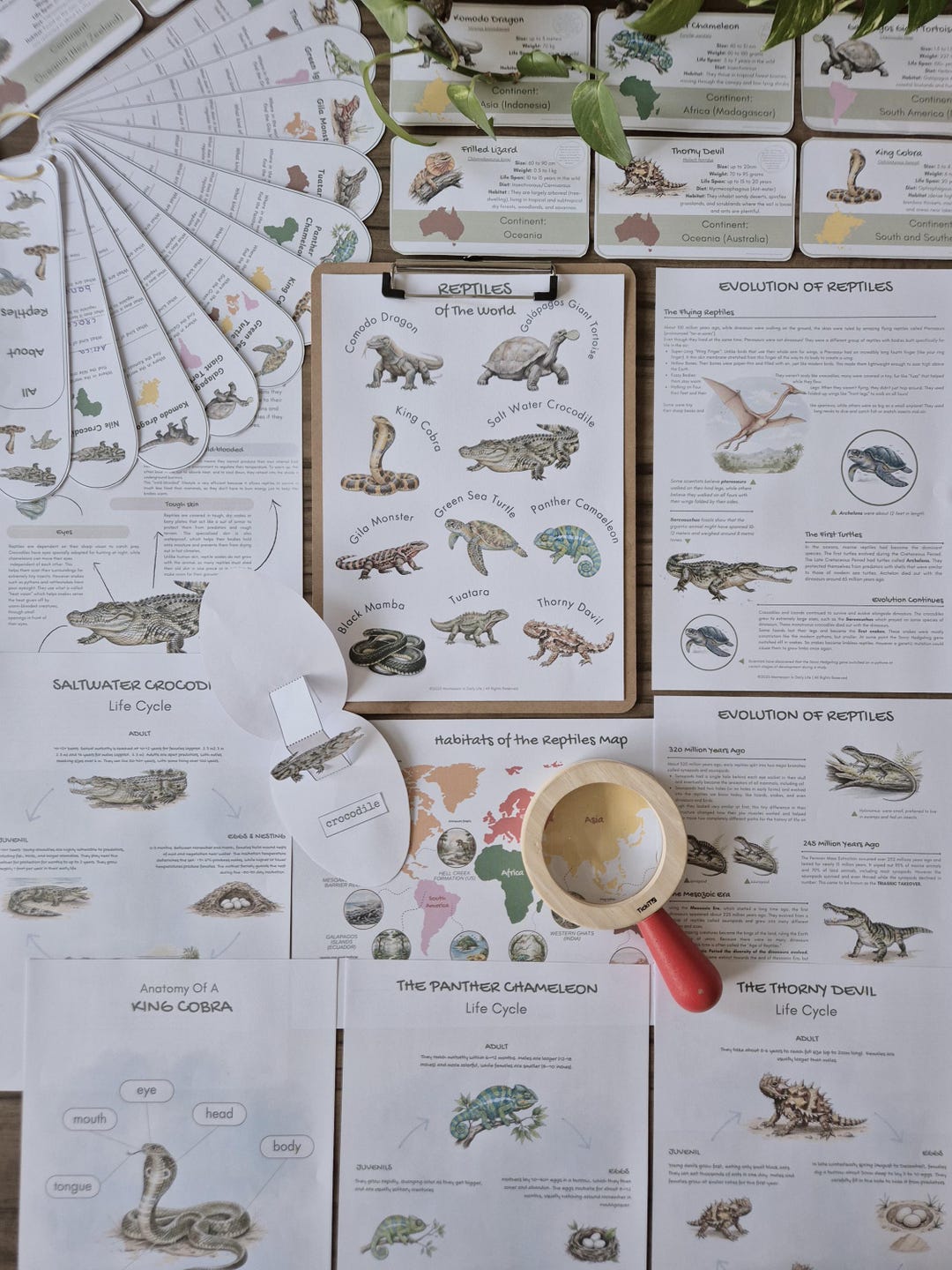 Reptiles of the World Unit - Montessori Alligned Study, 5 - 12 Years ...