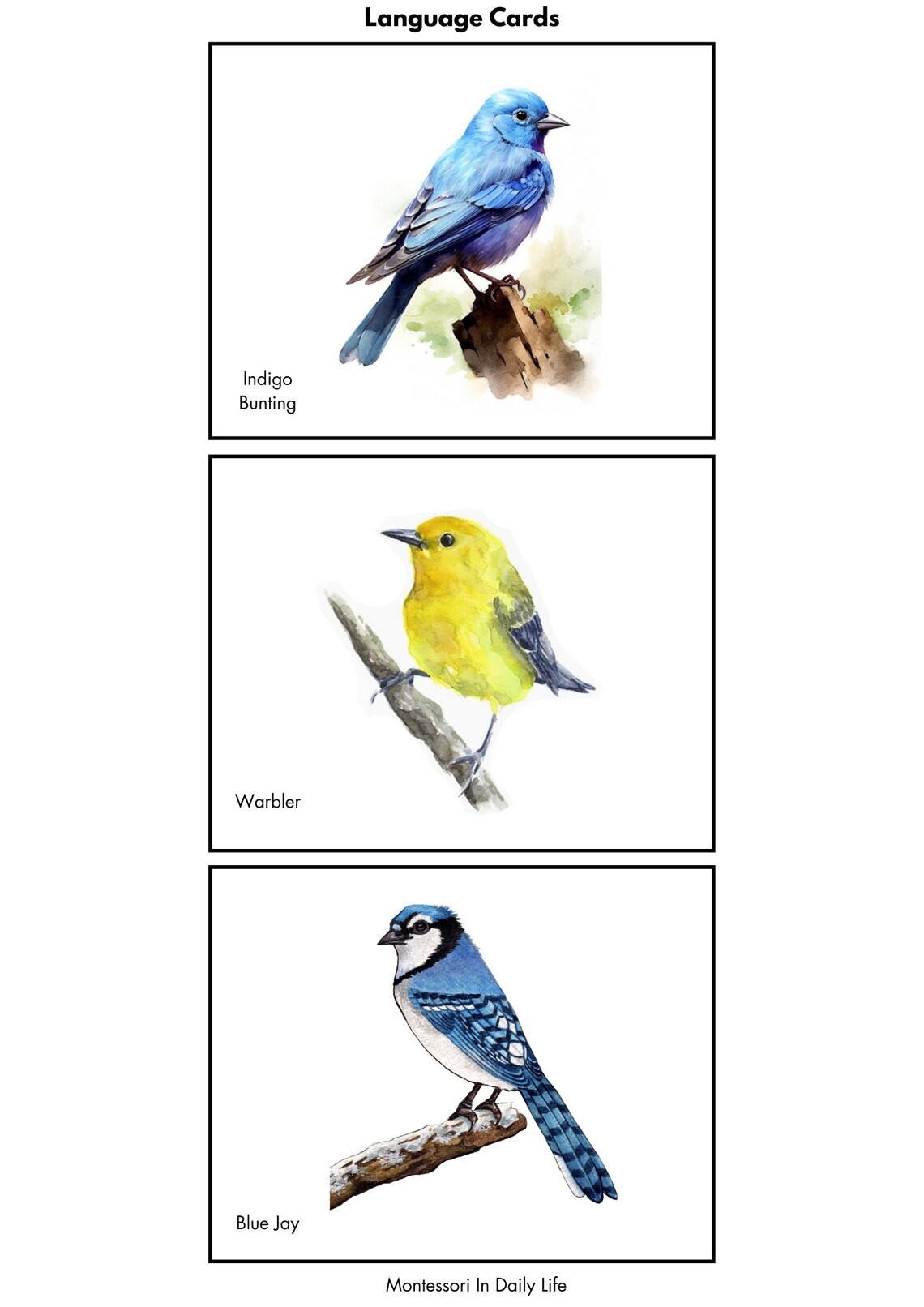 Montessori 3-part Cards Backyard Birds FREE Exotic Birds in 5 Languages ...