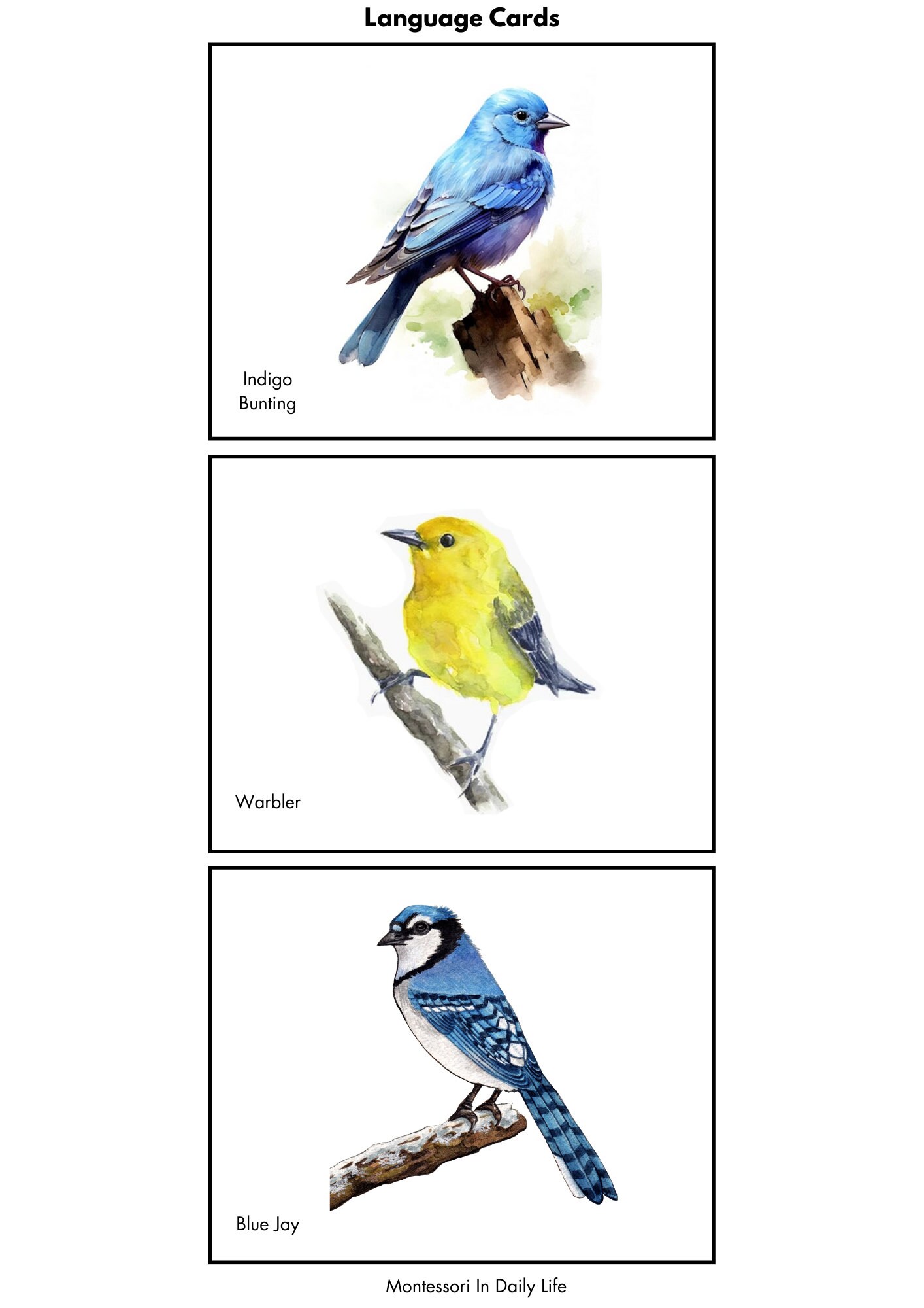 Montessori 3-part Cards - Backyard Birds + FREE Exotic Birds in 5 ...
