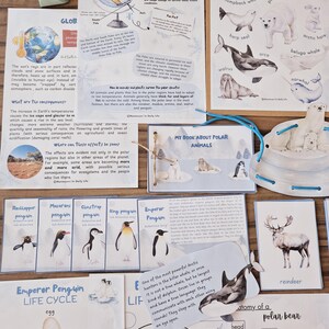 Polar Adventures Unit Study - Arctic and Antarctica Studies - Etsy