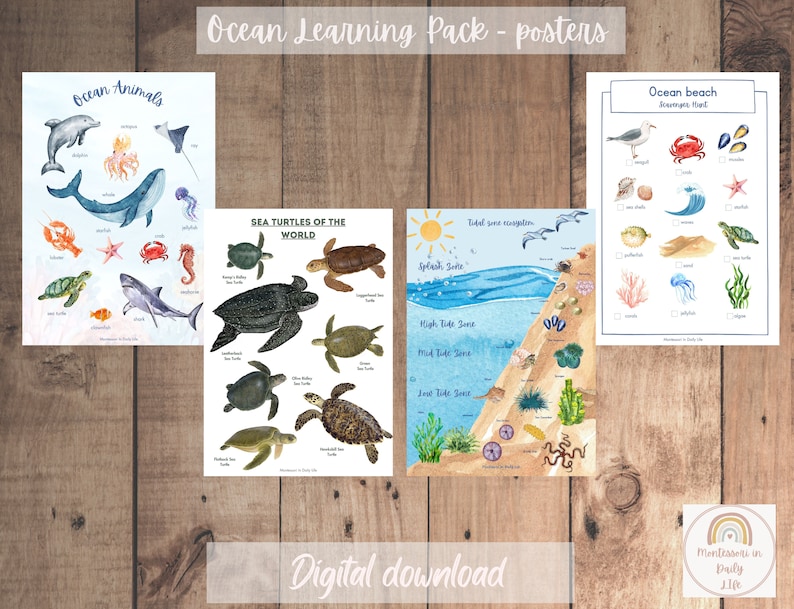 O is for Ocean Learning Pack - With FREEBIE Ocean Alphabet Cards - Etsy