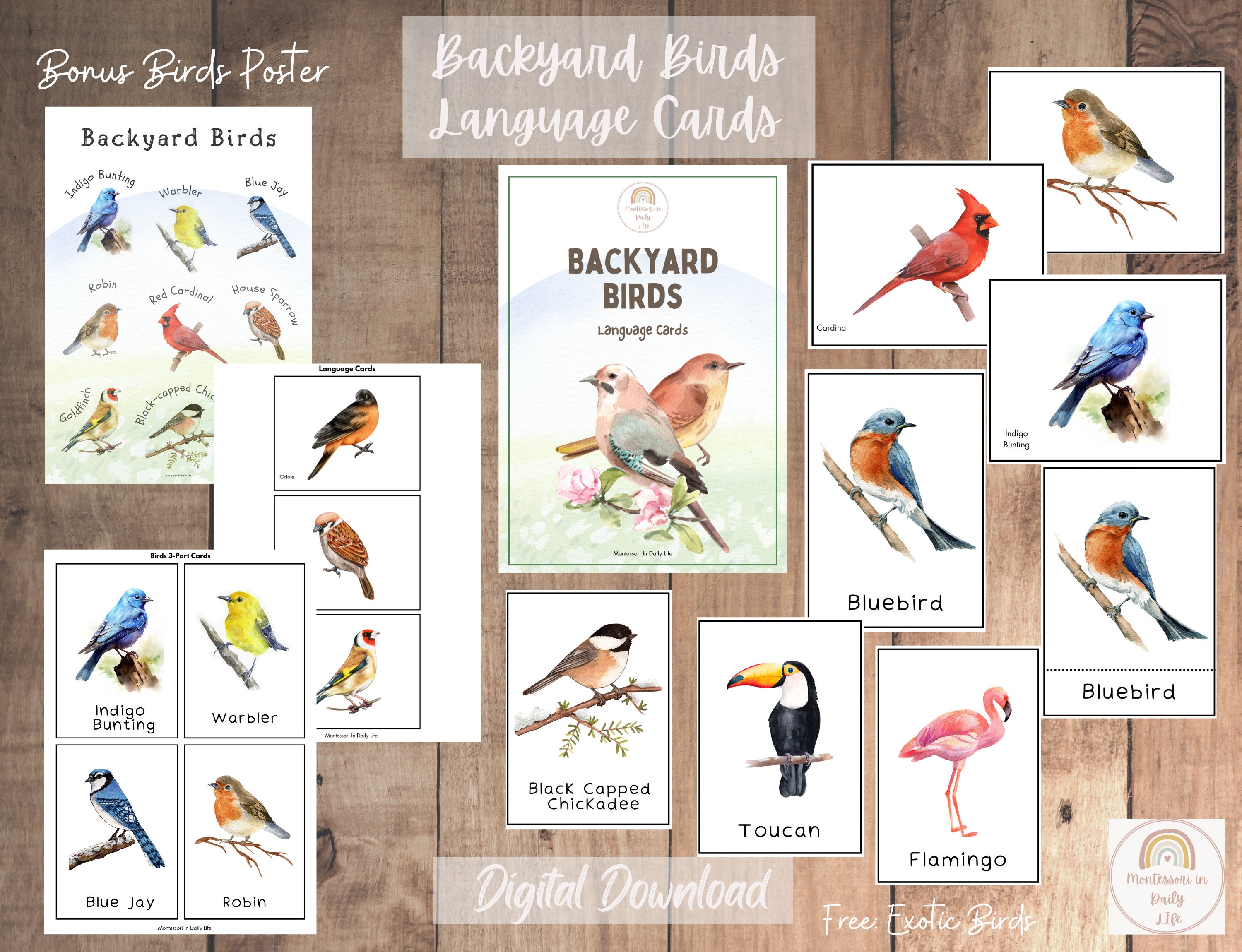 Montessori 3-part Cards - Backyard Birds + FREE Exotic Birds in 5 ...